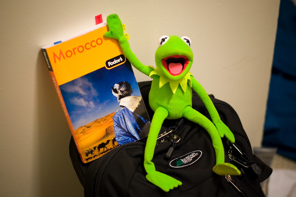 Kermit's in Paris! • GAIL AT LARGE